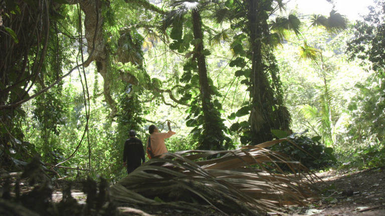 THE 'ILIMA LADY | HIFF | Hawai'i International Film Festival