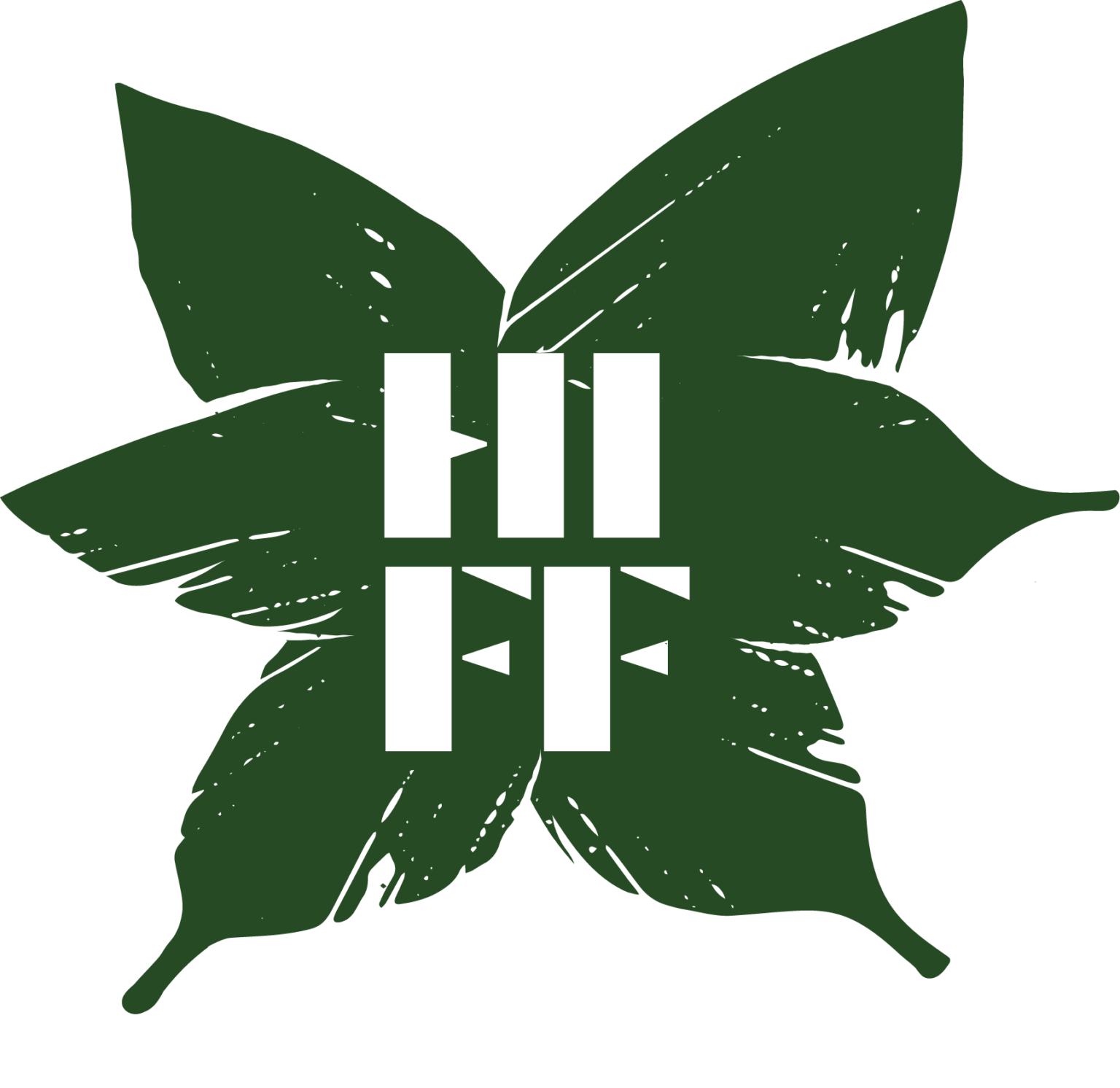HIFF44 HOME | HIFF | Hawai'i International Film Festival