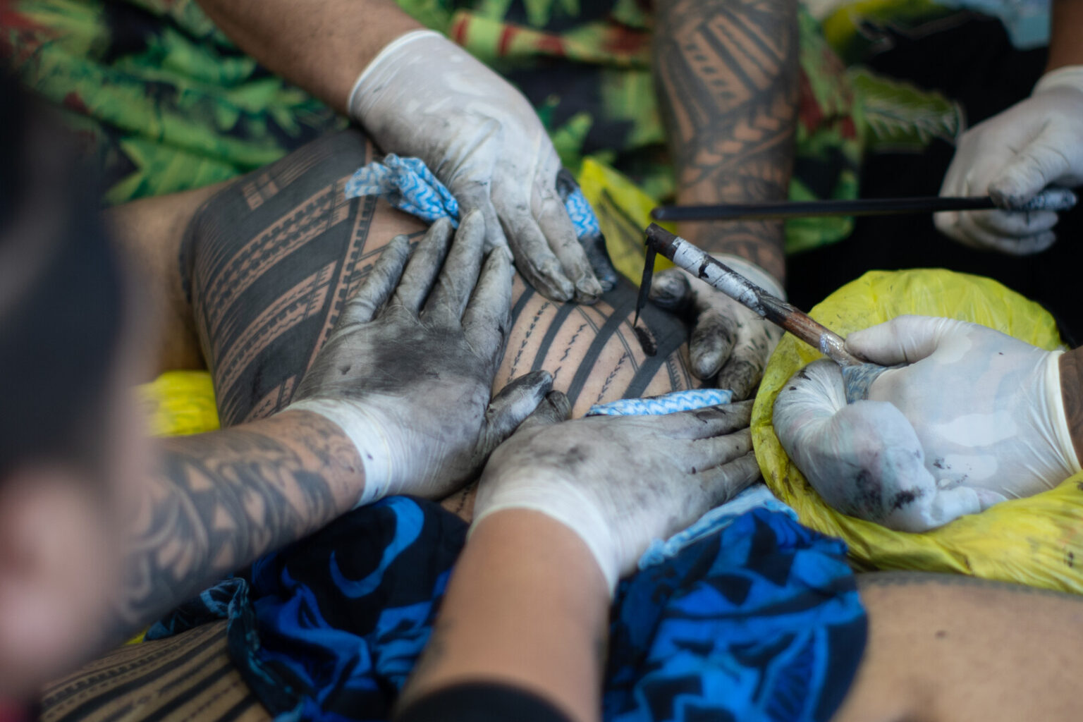 SON OF SAMOA | HIFF | Hawai'i International Film Festival