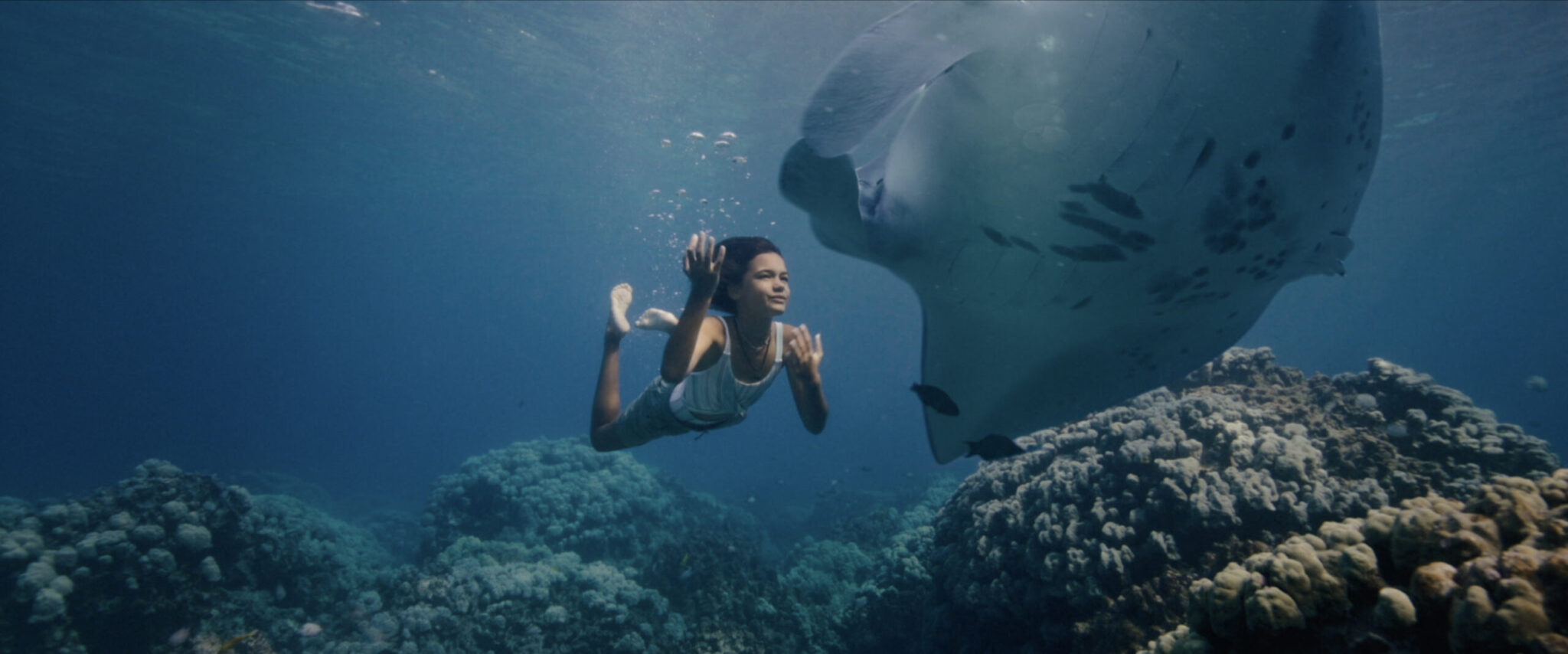 December 19, 2025 | HIFF | Hawai'i International Film Festival